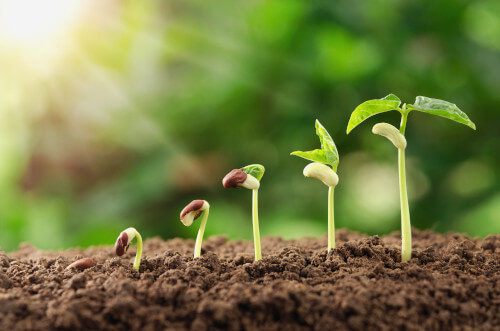 Growing happy feelings - Identification and management of emotions ...