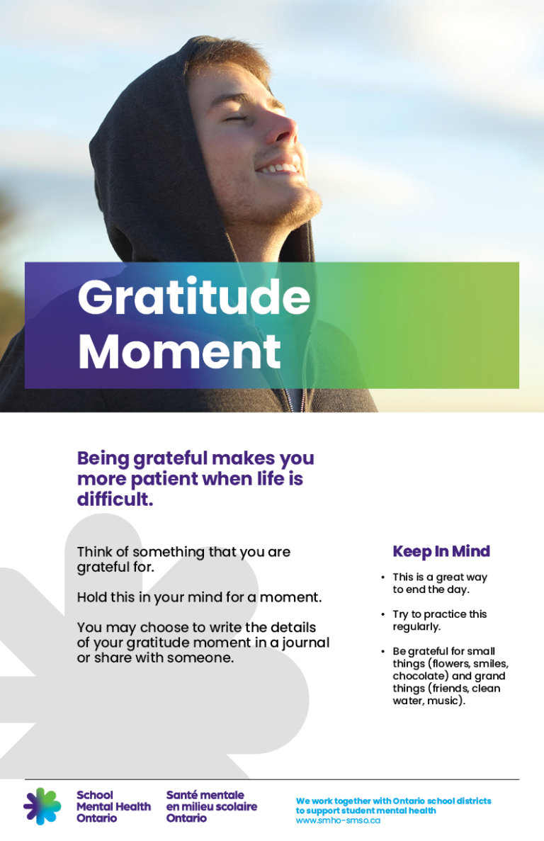 Social-Emotional Learning Posters - School Mental Health Ontario