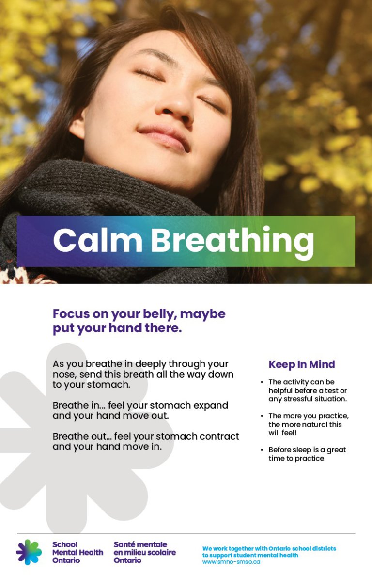 Social-Emotional Learning Posters - School Mental Health Ontario