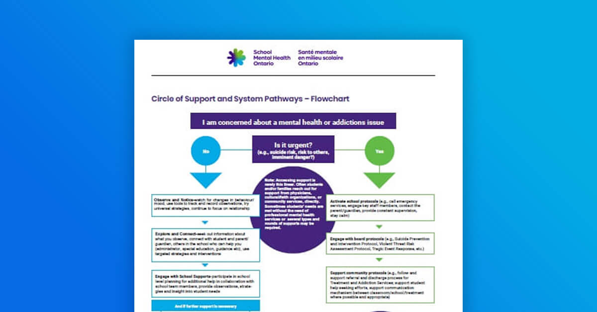 Circle of Support and System Pathways – Flowchart, Planner and Desk ...