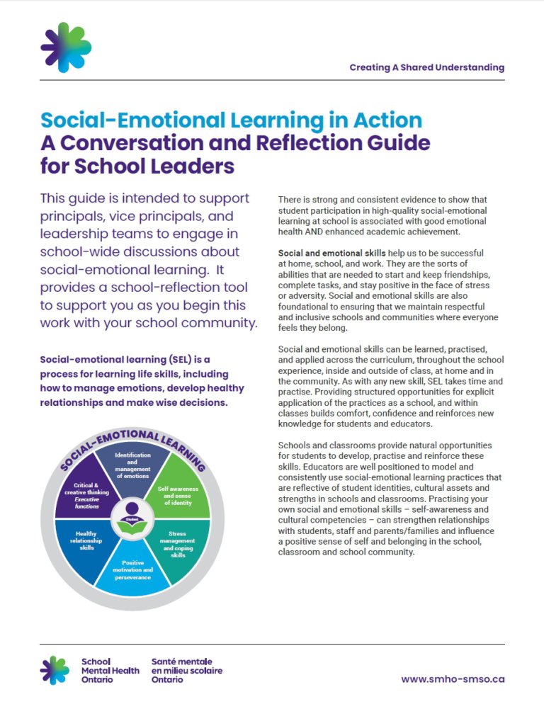 Social-Emotional Learning in Action – A Conversation and Reflection ...
