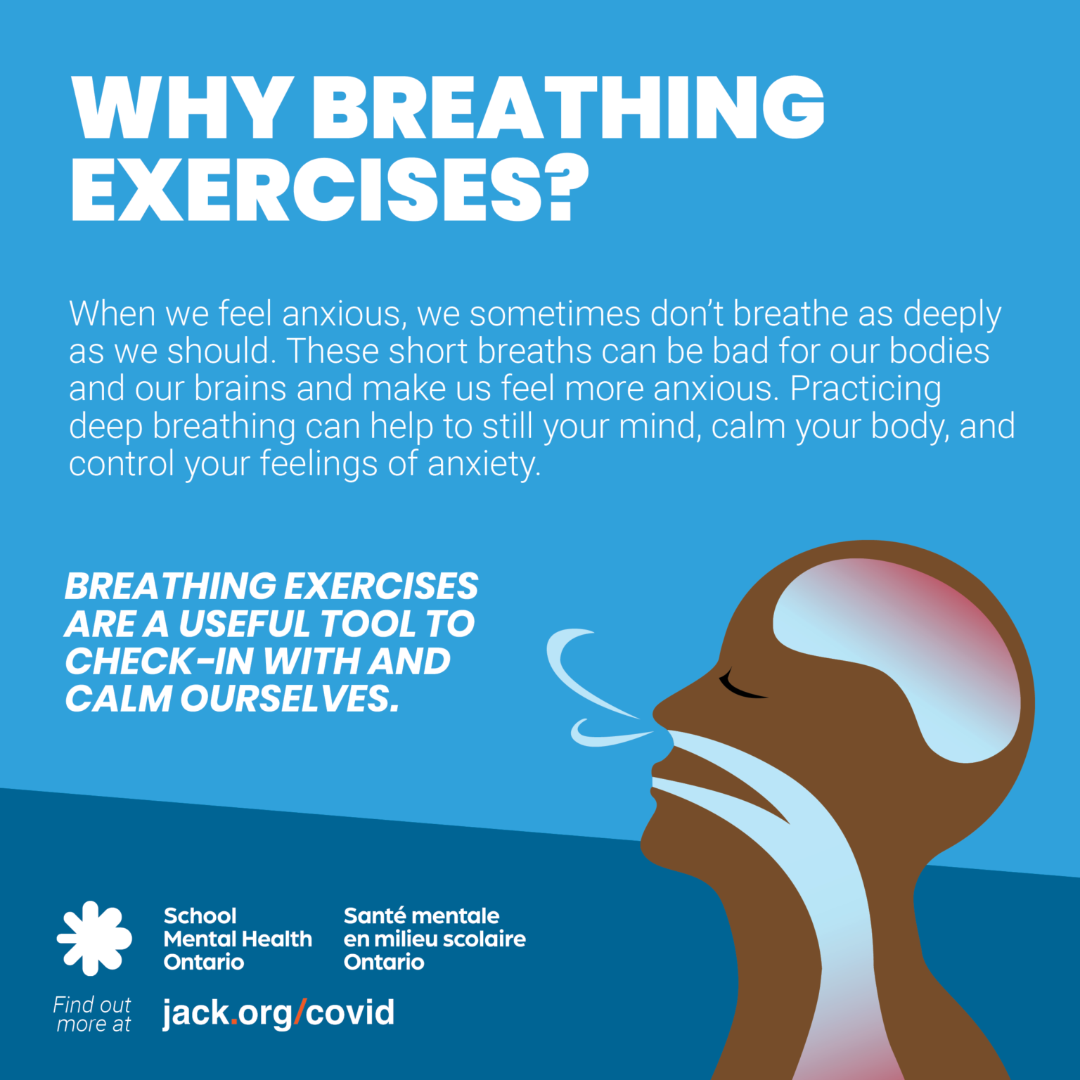 Mental Health Literacy and Anxiety Management Social Media Bundles ...