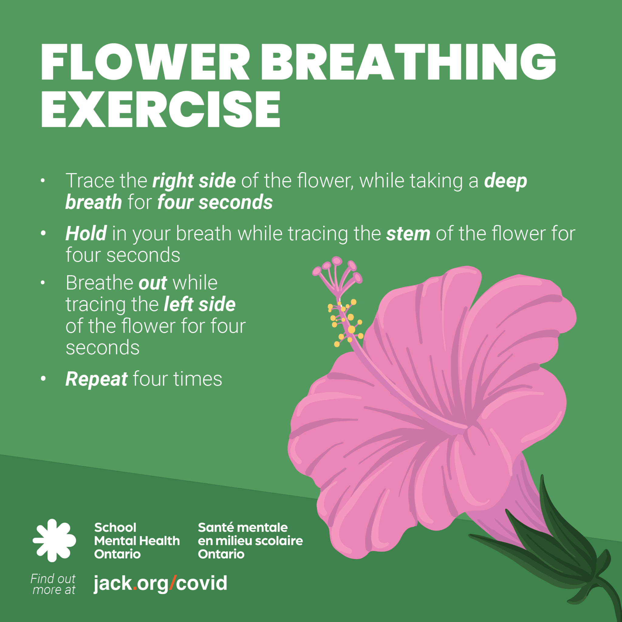 Mental Health Literacy and Anxiety Management Social Media Bundles ...