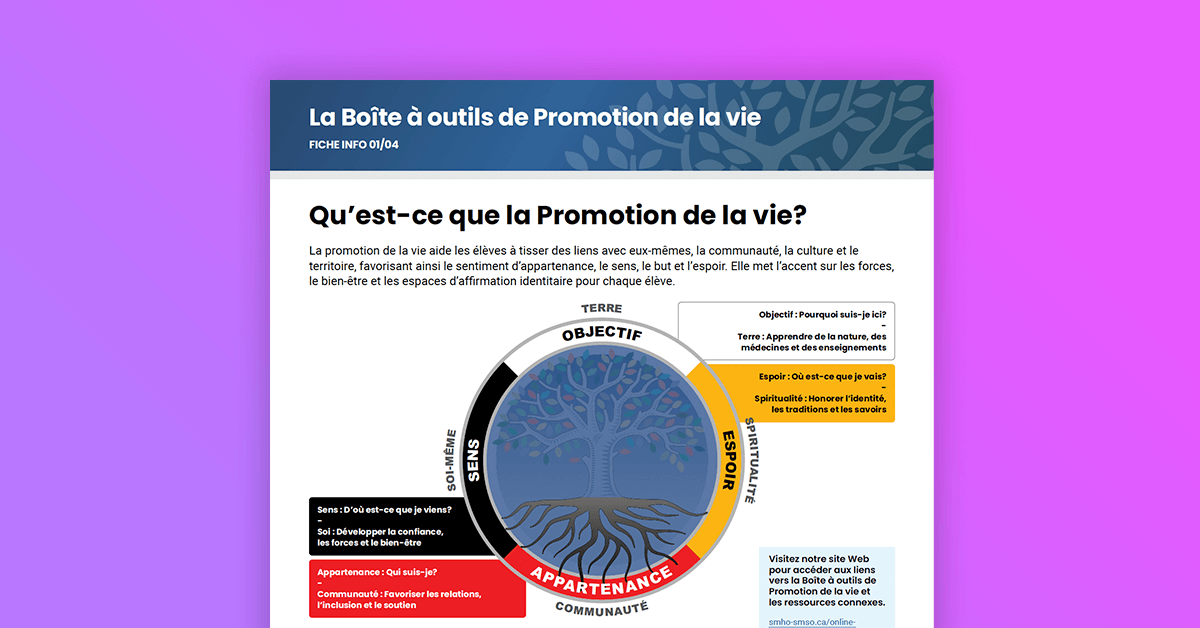 La Boîte à outils de Promotion de la vie et les ressources connexes - Santé mentale en milieu ...